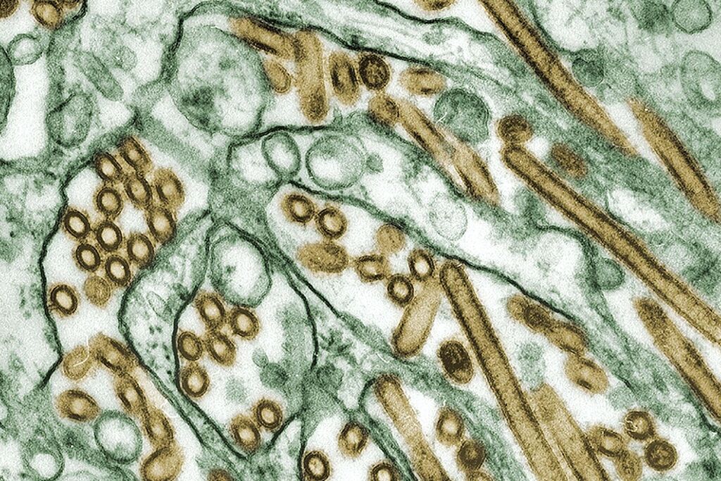 SAAFE CRC • Scientific Program Committee