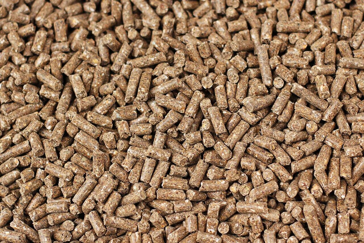 SAAFE CRC • Feed Manufacturing